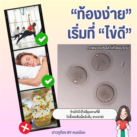 ท้องง่าย 👉 เริ่มที่ไข่ดี 🥚🥚🥚 ฮาวทูท้อง By หมอม้อน