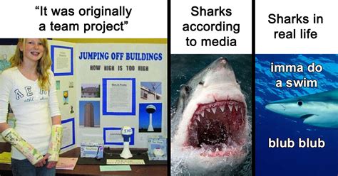 50 Spot On Science Memes That Might Make You Feel Smarter Bored Panda