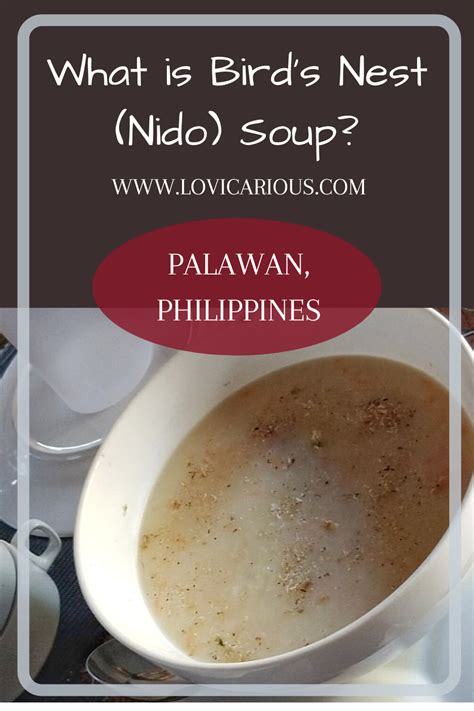 Nido Soup The Filipino Dish Made From A Bird S Nest Artofit