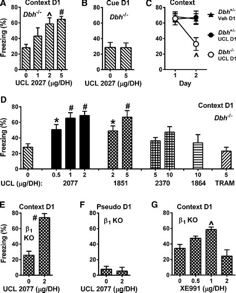 Figure 2 From The Slow Afterhyperpolarization A Target Of β1 Adrenergic Signaling In