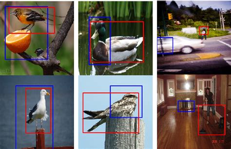 Figure 1 From Improving Weakly Supervised Object Localization By