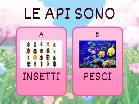 Le Api Quiz