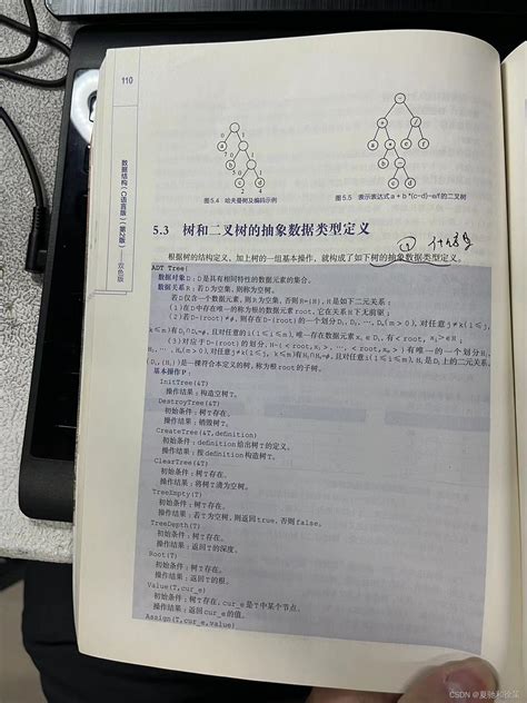 5 3 数和二叉树的抽象数据类型定义 csdn博客