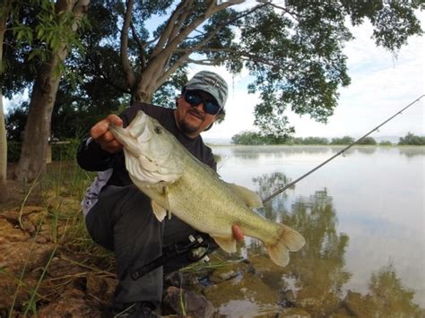 Donde Pescar Tips De Pesca De Orilla