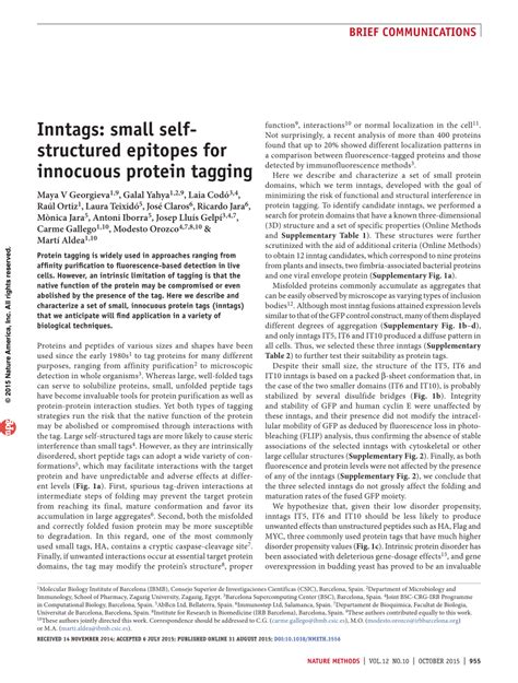 Pdf Inntags Small Self Structured Epitopes For Innocuous Protein Tagging