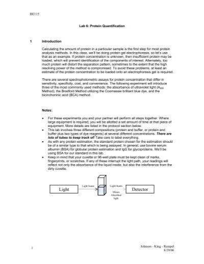 Lab 6 Protein Quantification