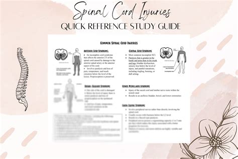 Common Spinal Cord Injuries Quick Reference Sheet Etsy