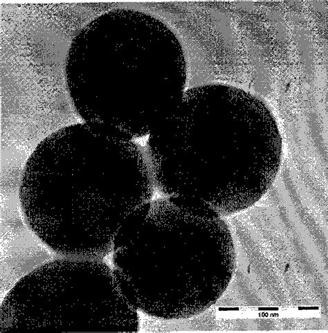 Sio2 Au Nano Material With Nucleocapsid Structure Biological Protein