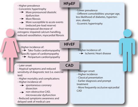 Main Sex Related Differences In Different Cardiovascular Diseases