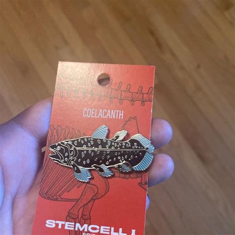 Lithops Life Cycle Chart Etsy