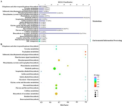 Secondary Metabolomic Analysis And In Vitro Bioactivity Evaluation Of Stems Provide A