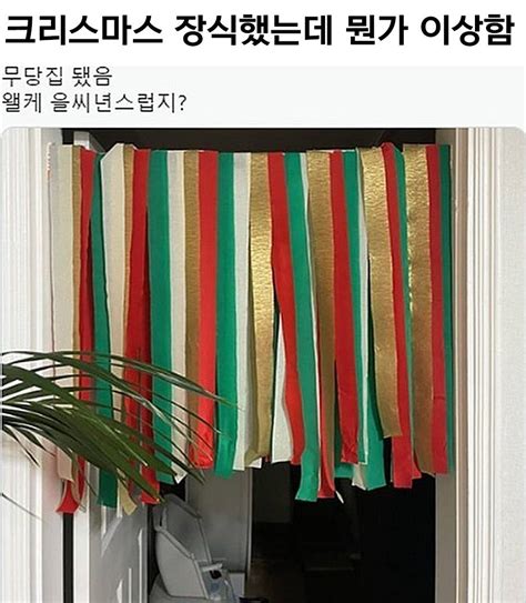 크리스마스 장식했는데 뭔가 이상함  인스티즈 Instiz 이슈 카테고리