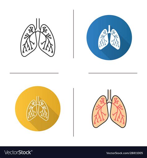 Human Lungs With Bronchi And Bronchioles Icon Vector Image