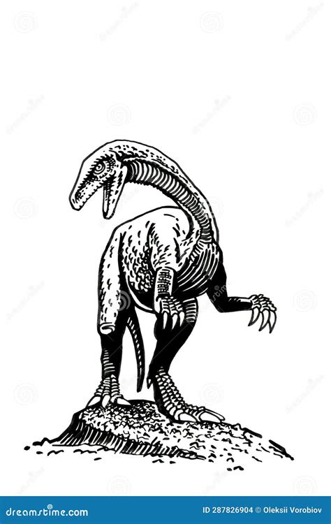 Graphical Gallimimus Isolated On Whitevector Illustrationdinosaur