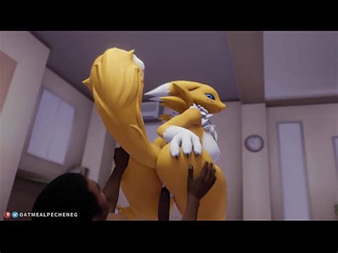 Digimon Furry Porn Xnxx Com