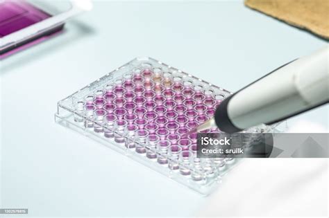 보라색에서 노란색으로 변경 되는 Dpph와 항 산화 활동 실험 항체에 대한 스톡 사진 및 기타 이미지 항체 검증 대체