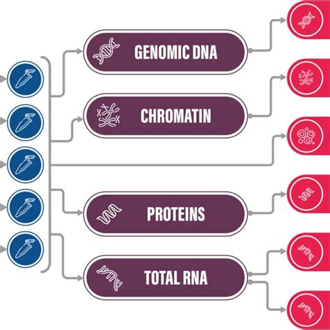 A General Overview Of The Experiment Design And Data Types Download Scientific Diagram