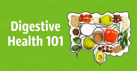 Digestive Health 101 Understanding The Microbiome And Gut Wellness