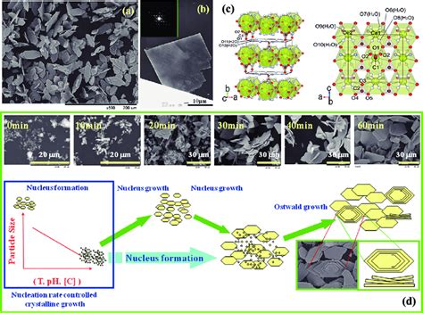 Typical A SEM And B TEM Image Insert SED Pattern And C The Download Scientific Diagram
