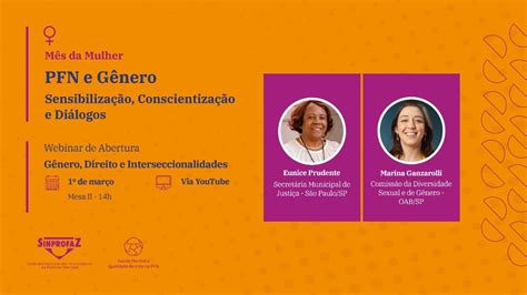 Webinar De Abertura Mesa Ii Gênero Direito E Interseccionalidades