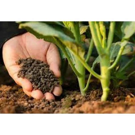 Bio Tech Grade Granules Organic Agriculture Fertilizer Vegetables At