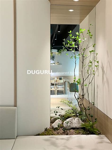 두구루 오피스플랜테리어 오피스인테리어 조화조경 실내조경 Modern Landscape Design Indoor