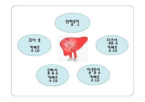 간호학 간경변증 원인 병태생리증상관리 의약학