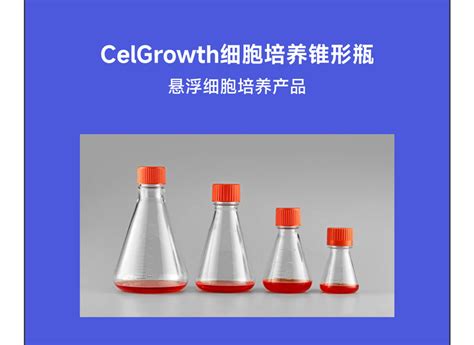 贴壁细胞培养与悬浮细胞培养的区别