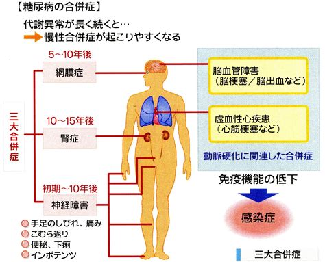 秋久医院 糖尿病について【三田市 内科 糖尿病内科】