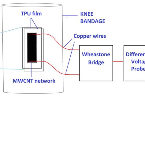 Simultaneous Measurements Of Isokinetic Dynamometer And Cnt Sensor Download Scientific Diagram