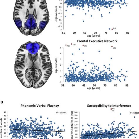 Exemplary Depictions Of Interindividual Variability In Phenotypes