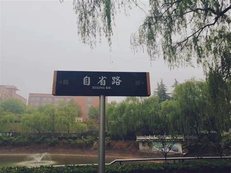 你真正懂处女座的人吗？ 知乎