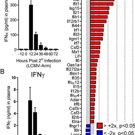 Functional Type I And Ii Interferons Are Expressed In Response To