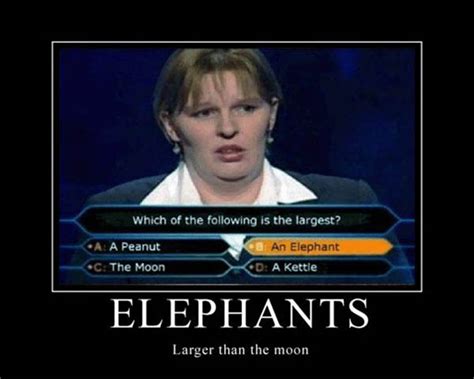 Humorous Sales Quotes Quotesgram