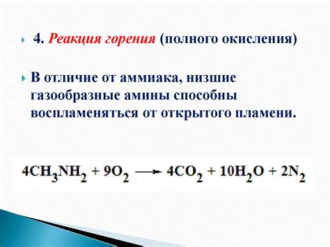 Амины Online Presentation