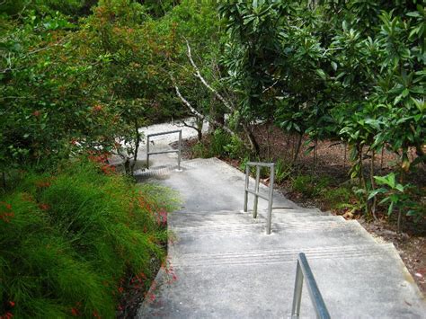 Morikami Museum Japanese Gardens Delray Beach Fl 194