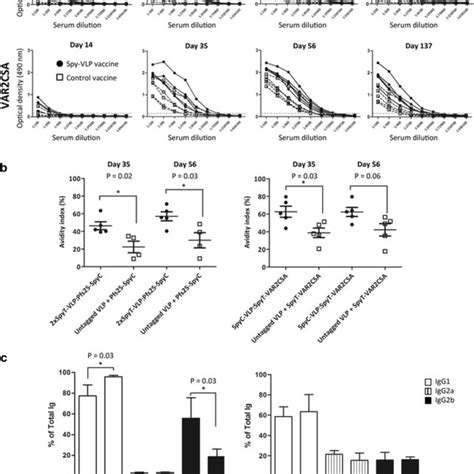 The Spy Vlp Antigen Display Platform A Three Types Of Spy Expressing Download Scientific