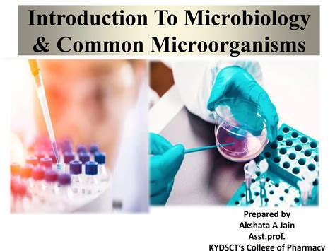 Introduction To Microbiology Common Microorganisms Pptx