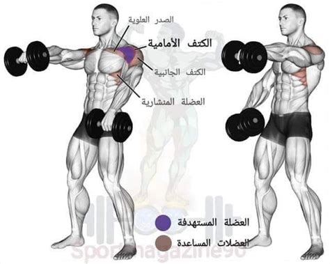 Funandfit أفضل التمارين لعضلة الكتف الأمامية رفع أمامي بالدمبل رفرفه