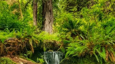 그린카본 블루카본 블랙카본 정의 및 차이