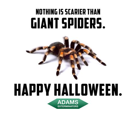 Adams Exterminators Pest Control Service Albany Georgia Facebook