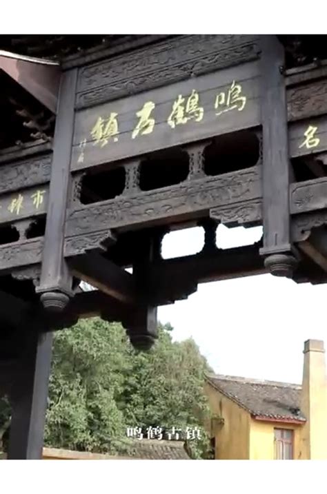 华麦 Megamedia 《守心鸣鹤》