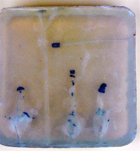 Penetration And Expansion Testing Page 2