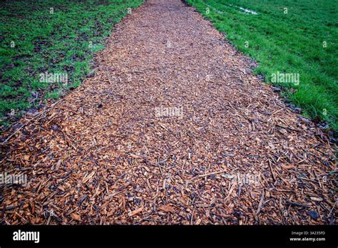 A Footpath Formed Entirely Of Wet Wood Chips Stretches Across The Grass With The Rich Textures