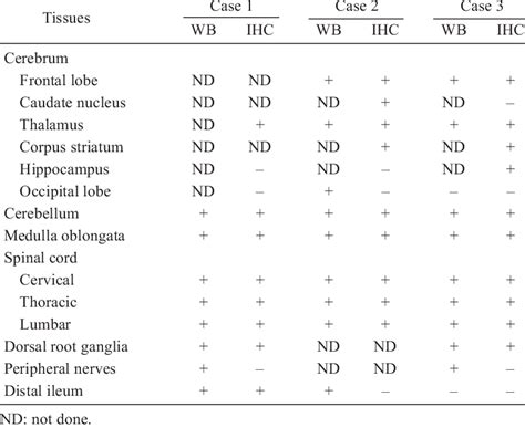 Distribution Of Prp Sc In Tissue Specimens Examined By Ihc And Wb Download Table