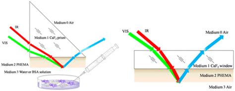 Macromolecules Vol 49 No 8