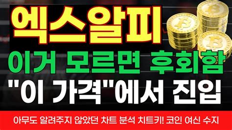 엑스알피 리플 이제 진짜 갑니다 에이다 이슈 대공개 Youtube