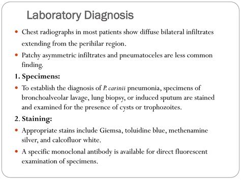 Pneumocystis Jirovecii Infection PDF