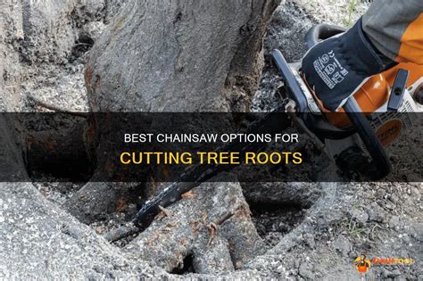 Best Chainsaw Options For Cutting Tree Roots | ShunTool