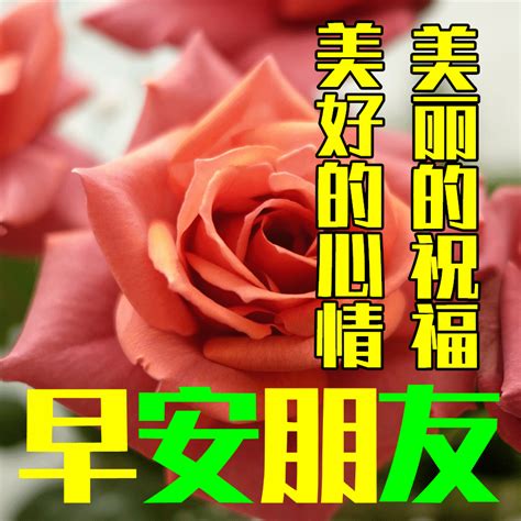 早安表情包有人问候最幸福